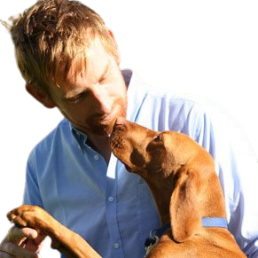 The Ultimate Webinar